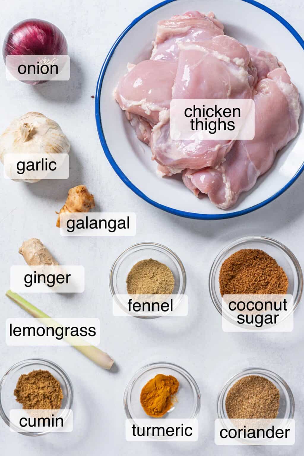 Malaysian Chicken Satay - El Mundo Eats