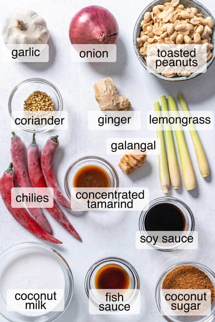 Authentic Malaysian Satay Sauce - El Mundo Eats