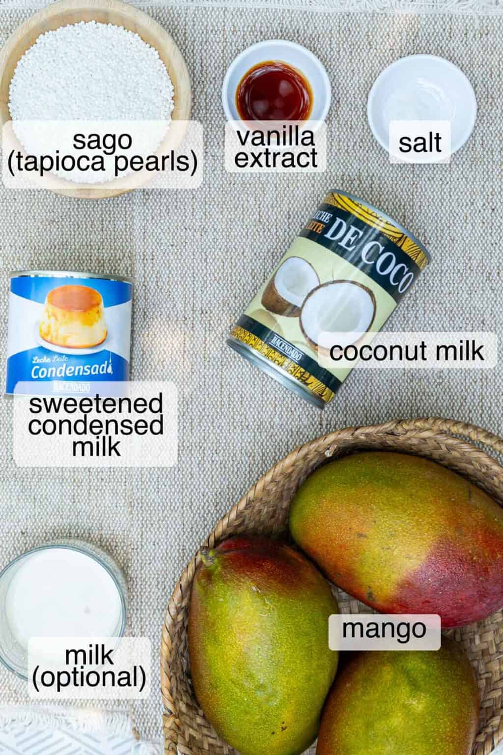 Easy Mango Sago Pudding - El Mundo Eats